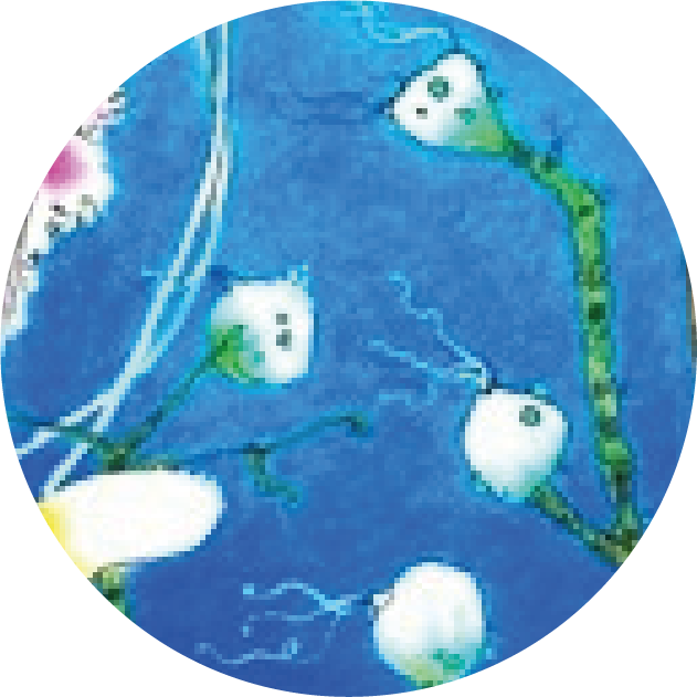 Submarani - Capítulo 1