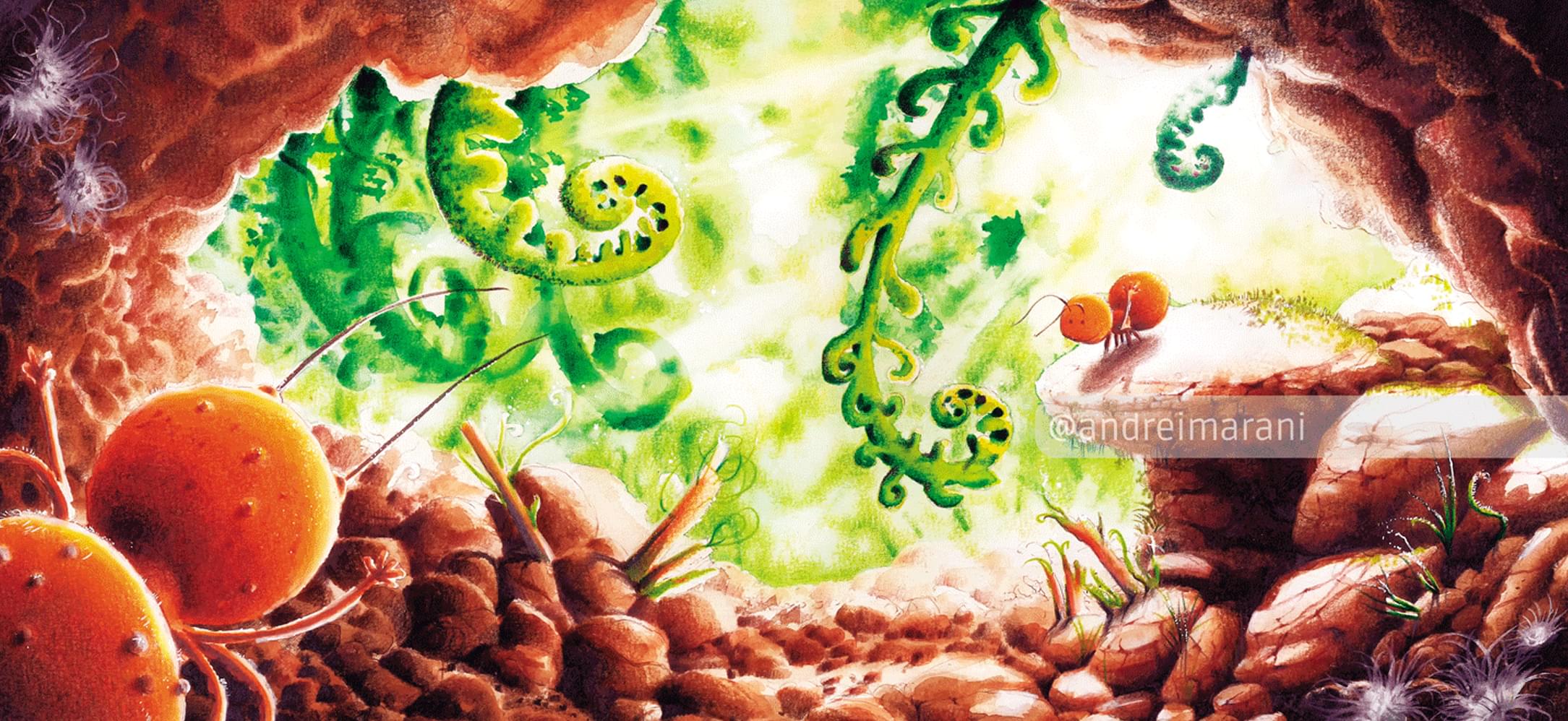 Andrei Marani - Ilustrador