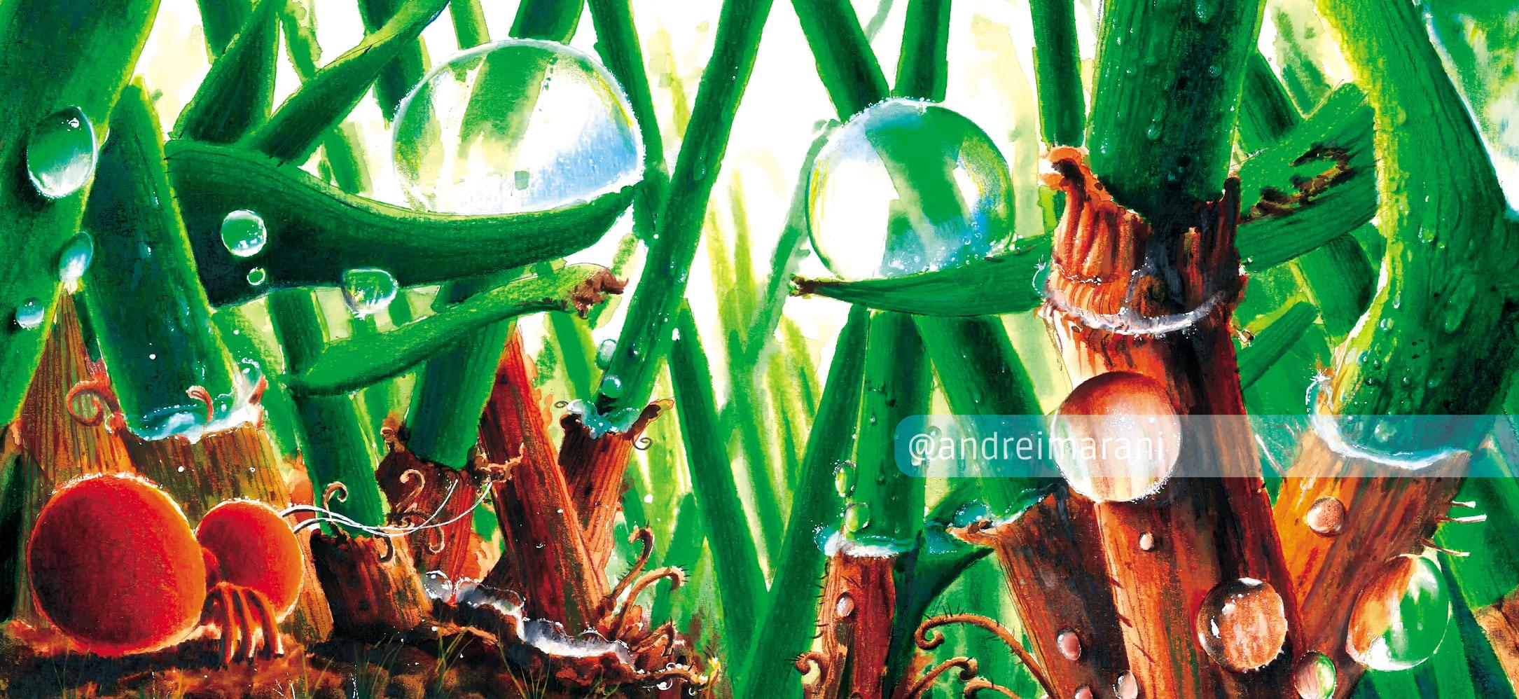 Andrei Marani - Ilustrador